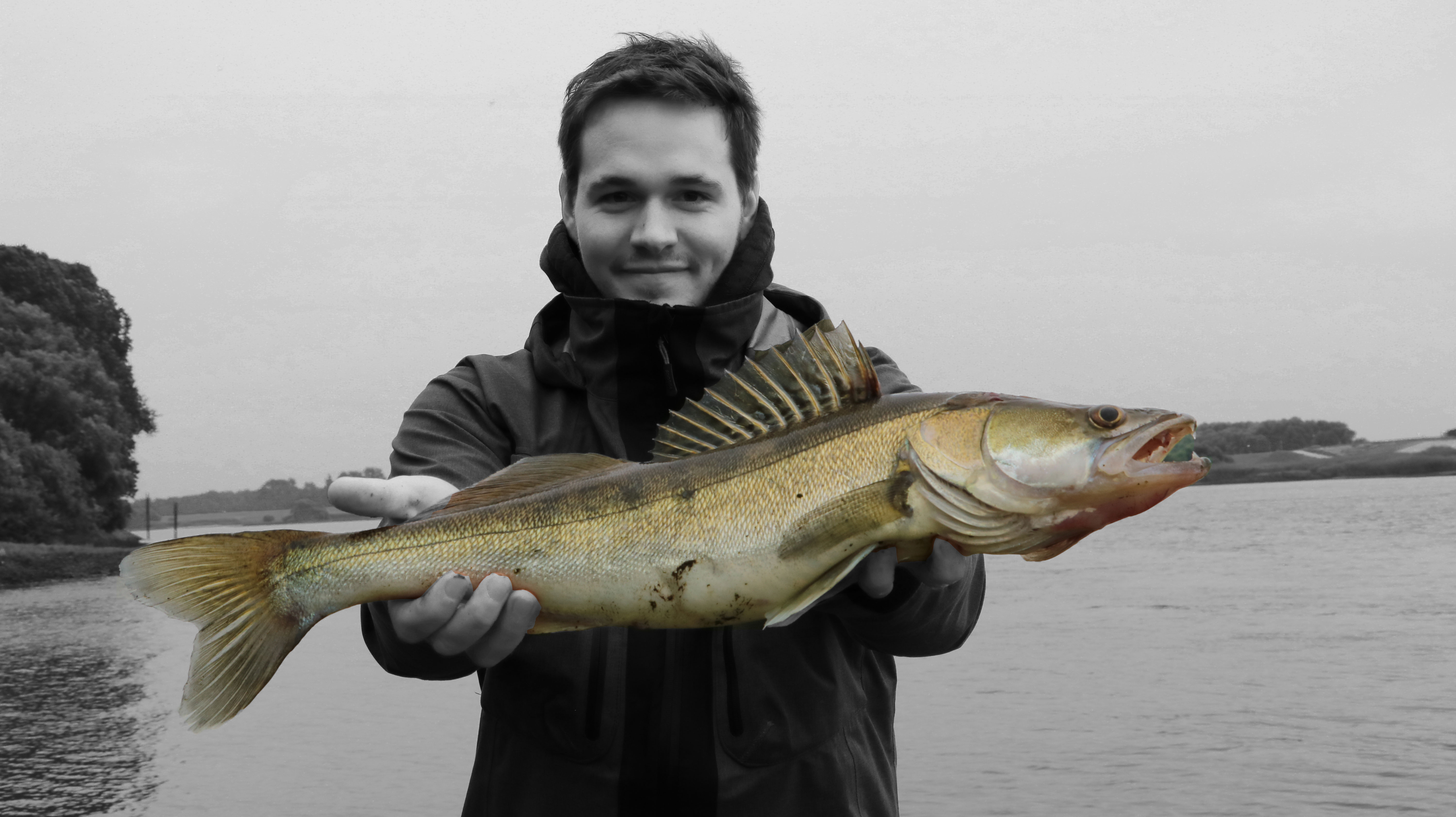 8 echte Tipps fürs Angeln auf Zander: Zanderangeln auf der Buhne / Elbe